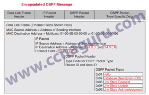 OSPF Packet Types « CCNA Online Training in the USA | CCNA Guru